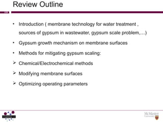 Mitigating Gypsum Scale in Filtration Processes.pptx
