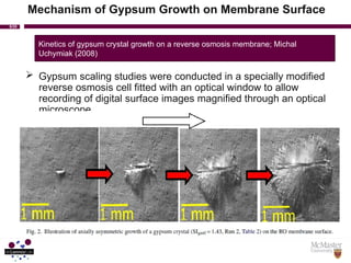 Mitigating Gypsum Scale in Filtration Processes.pptx