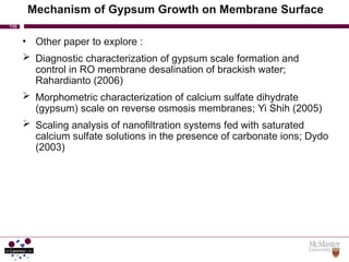 Mitigating Gypsum Scale in Filtration Processes.pptx