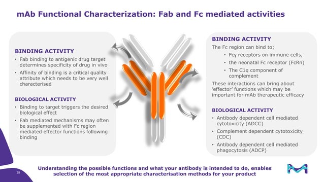 Mitigating Risks through Product Characterization | PDF | Chemistry | Science