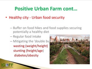 Mitigating the urbanization of poverty urban farming & public food ...