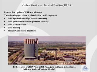 Mitigation of GHE by carbon capture at NFCL,Kakinada.ppt