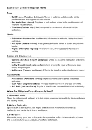 Mitigation Plants in Landscaping What They Are and Why They Matter.pdf