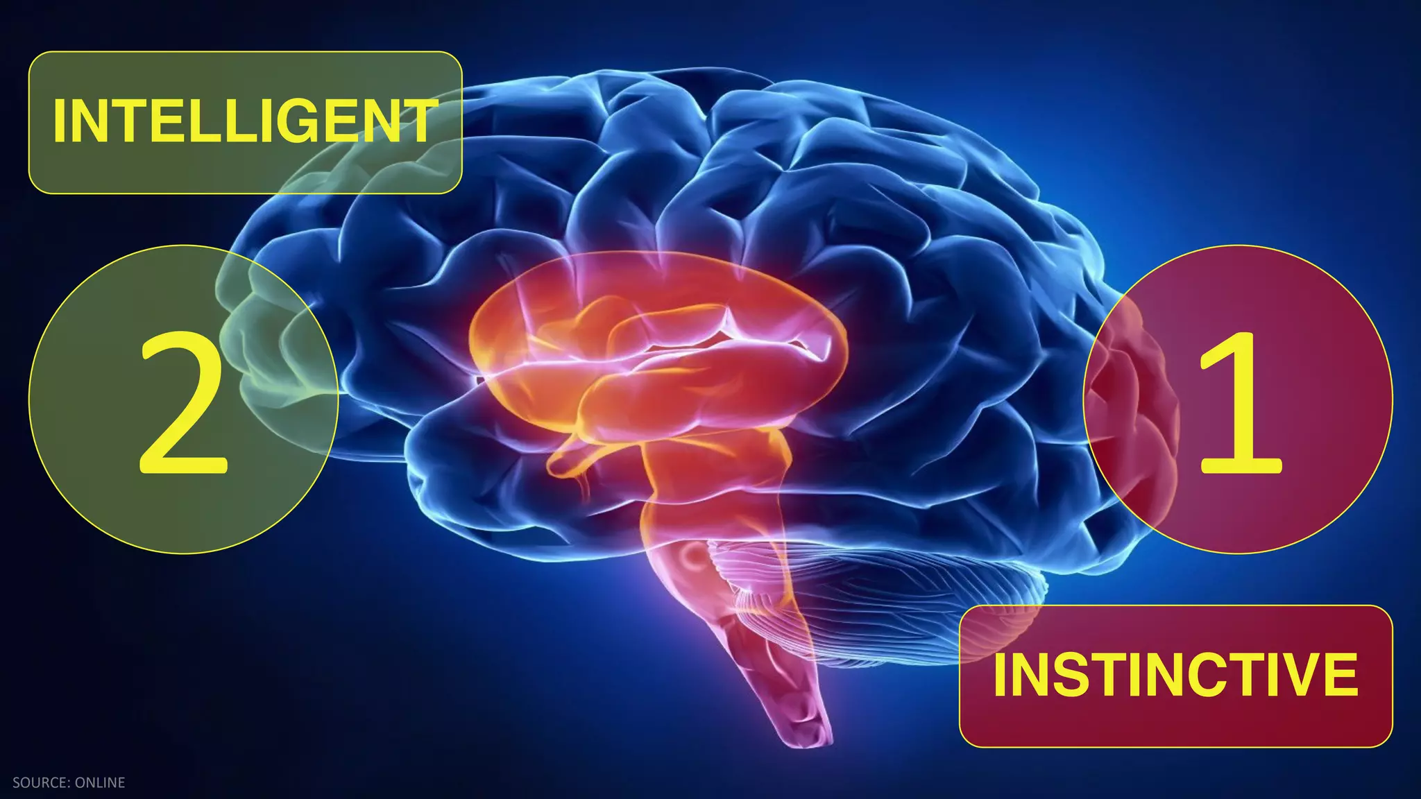 MIT Media Lab City Science Transforming Cities | PDF