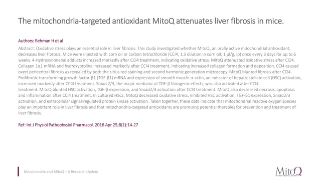 Mitochondria and MitoQ – A research update | PPTX | Chemistry | Science