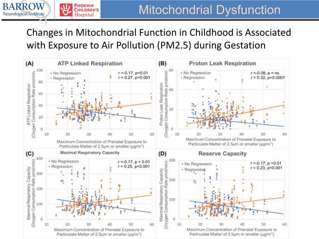 Primary Mitochondrial Disease and Secondary Mitochondrial Dysfunction ...