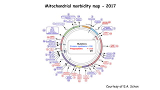 Mitochondrial Replacement Therapy | PPTX
