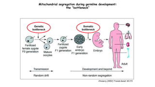 Mitochondrial Replacement Therapy | PPTX
