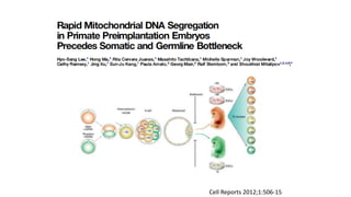Mitochondrial Replacement Therapy | PPTX