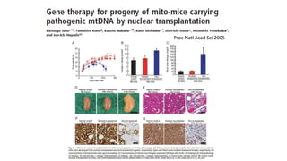 Mitochondrial Replacement Therapy | PPTX