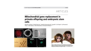 Mitochondrial Replacement Therapy | PPTX