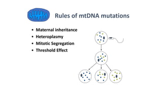 Mitochondrial Replacement Therapy | PPTX