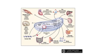 Mitochondrial Replacement Therapy | PPTX
