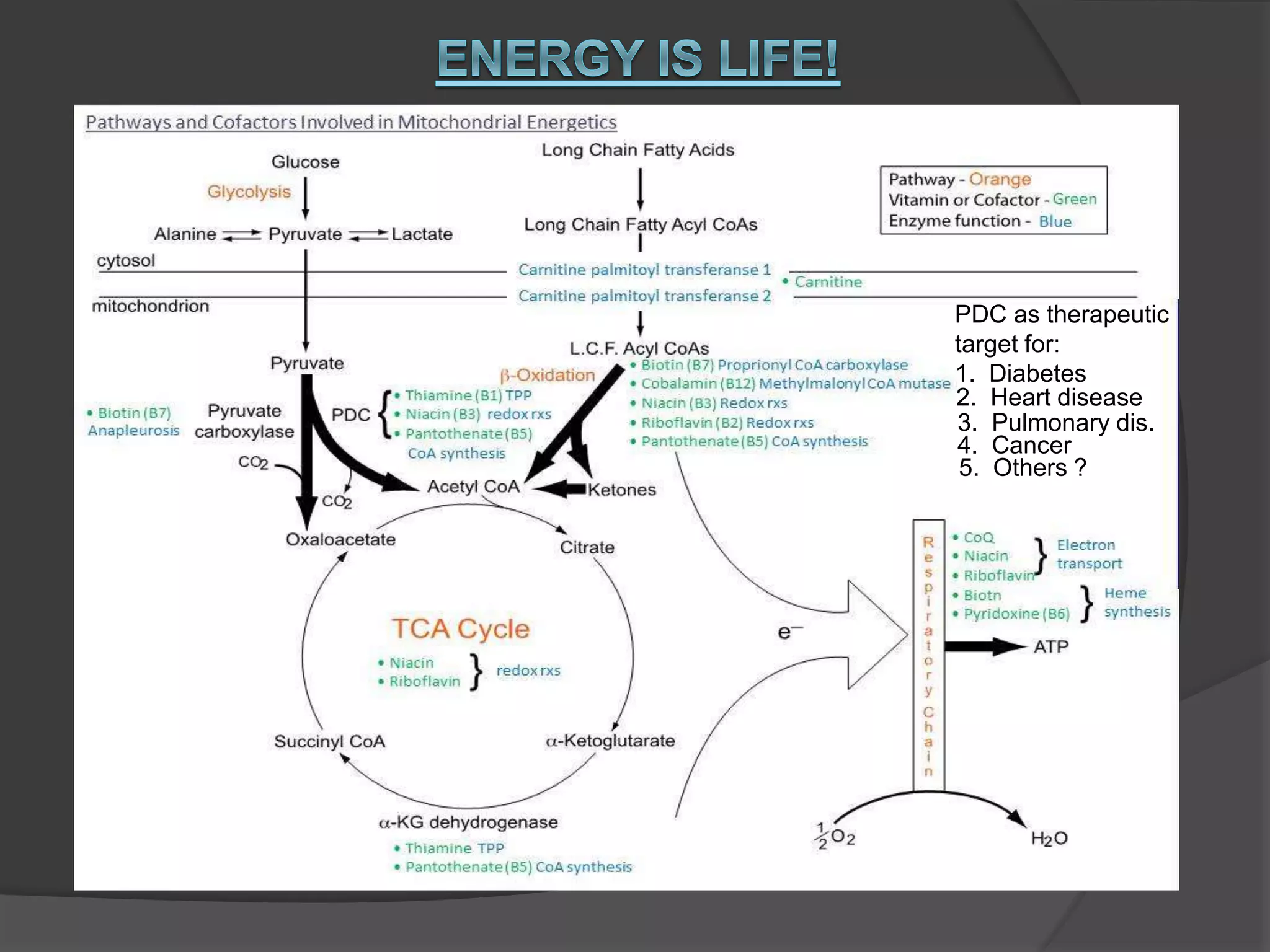 MitoAction Pyruvate Disorders Presentation 11-07-2014 | PPT