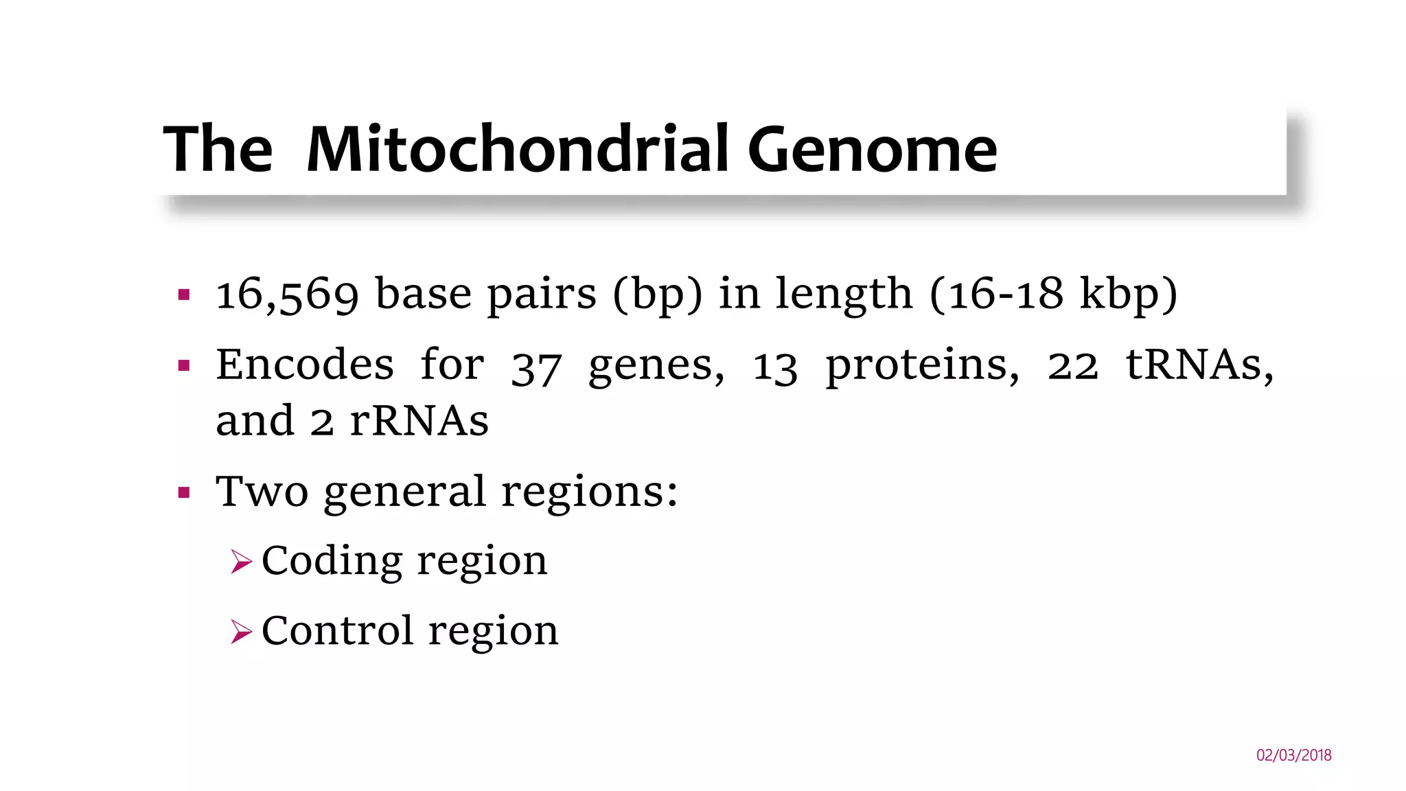 Mitochondrial DNA Replication | PPTX