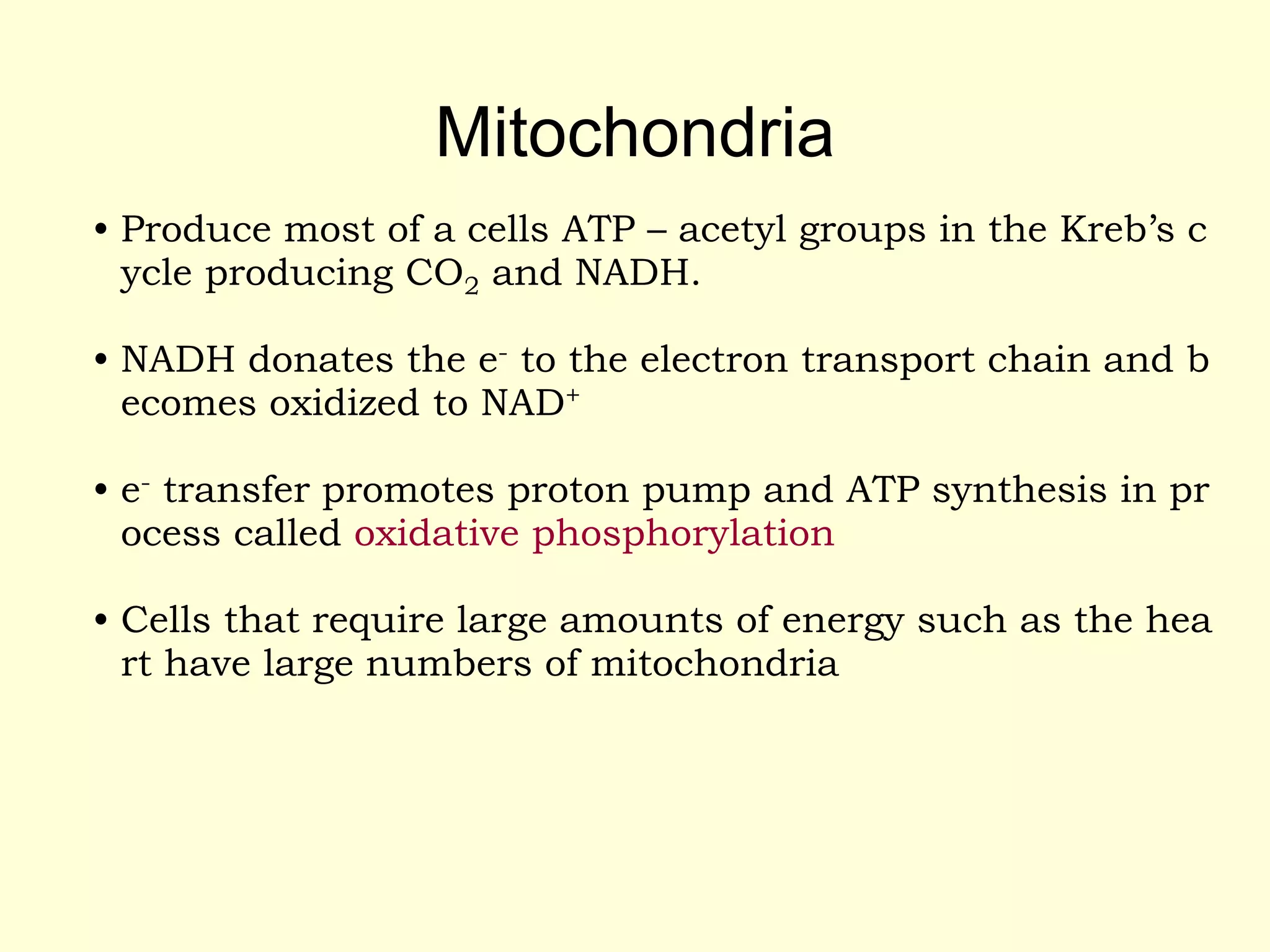 Mitochondria-1.pptx