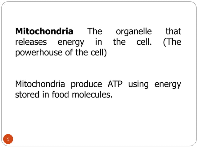 Mitochondria | PPTX | Biological Sciences | Science