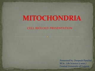Mitochondria | PPT
