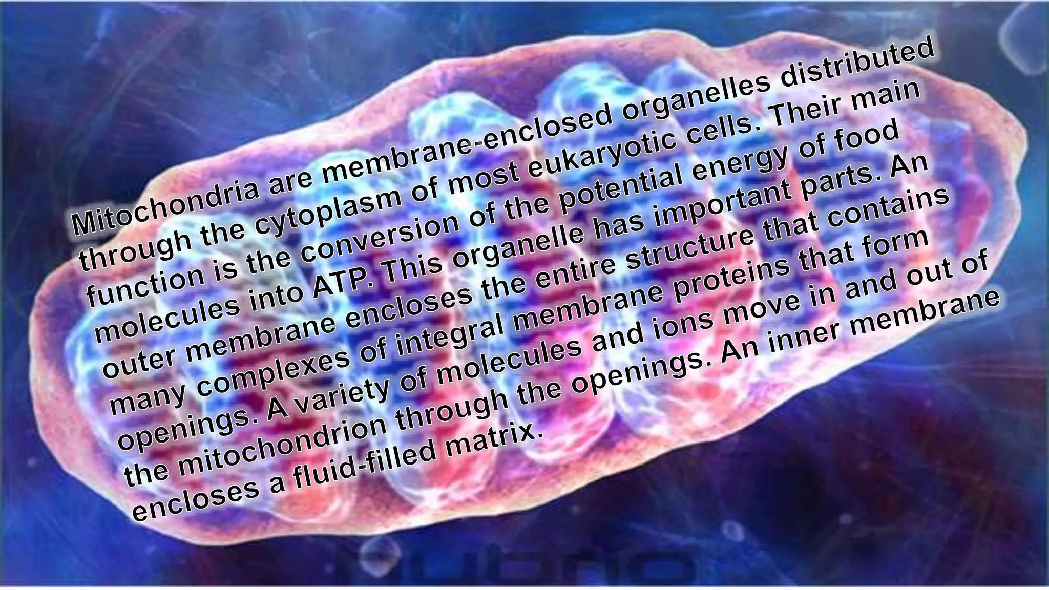 Strategic Intervention Materials (SIM) about Mitochondria | PPTX