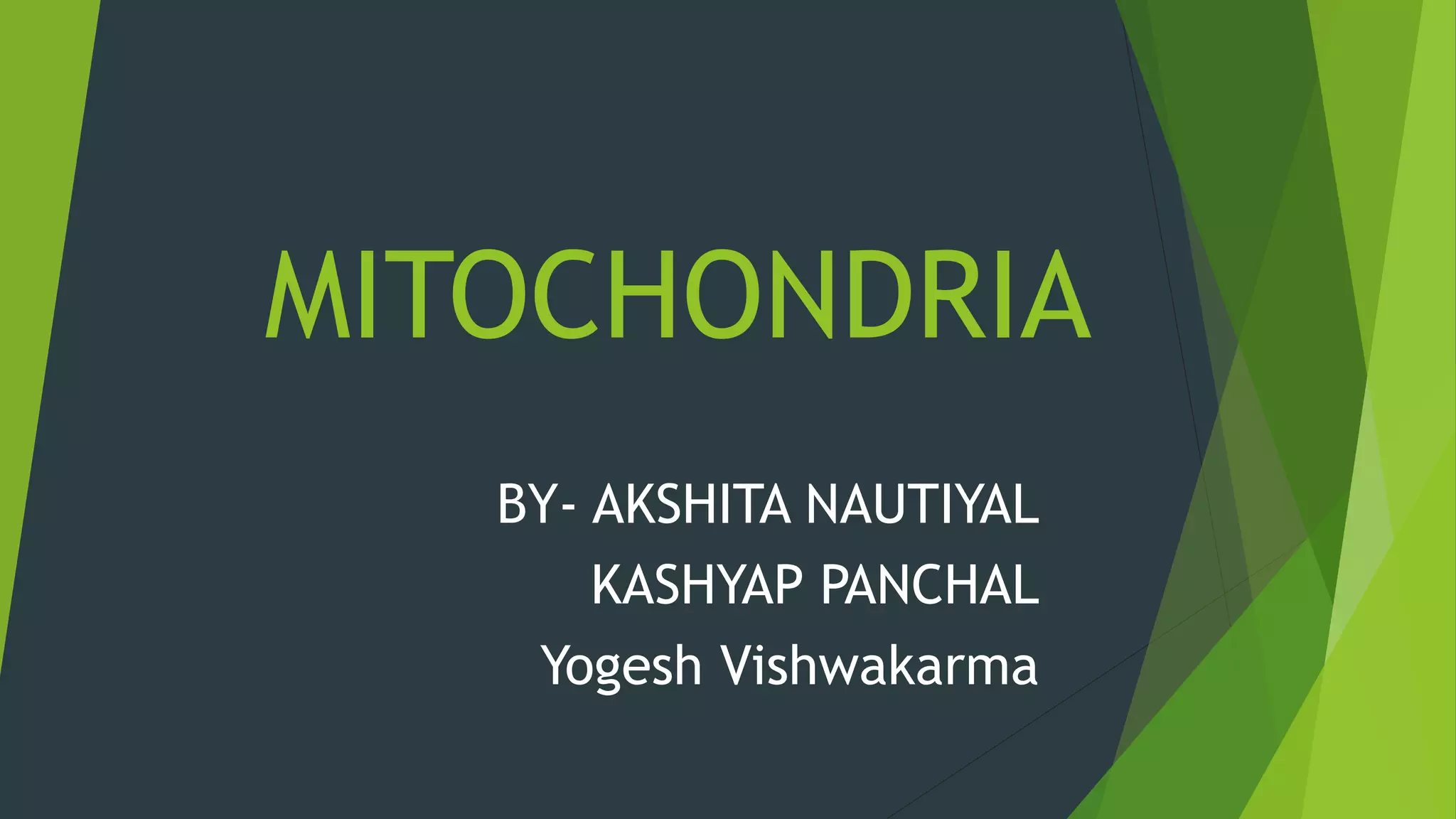 Mitochondria Introduction Function And Structure Pptx Biological Sciences Science