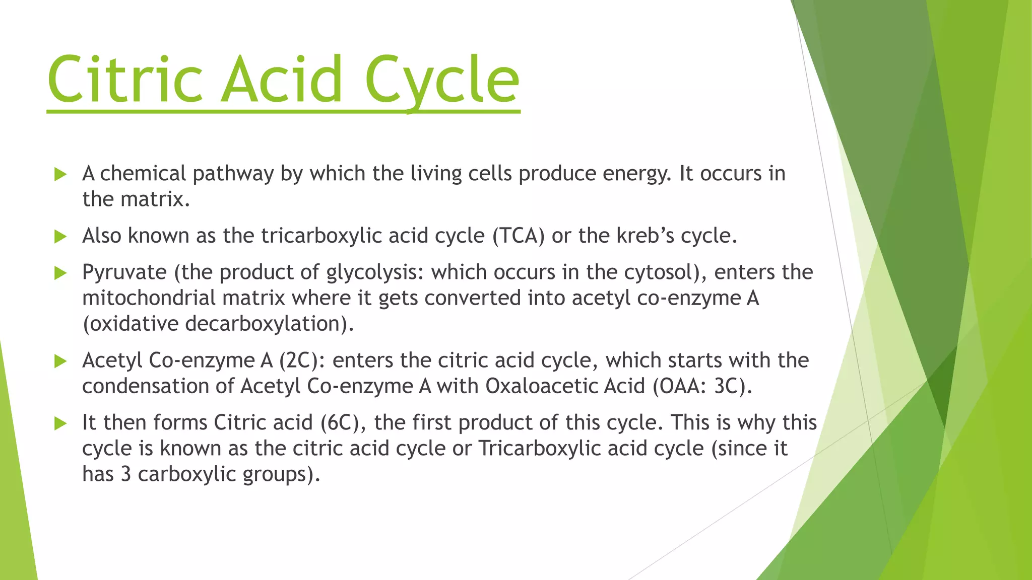Mitochondria (introduction function & Structure) | PPTX