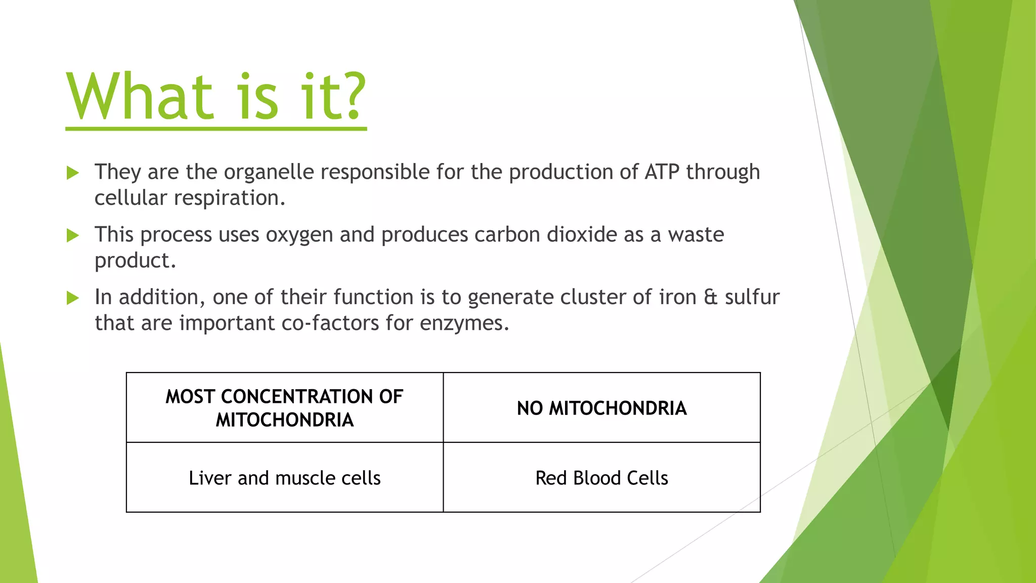 Mitochondria (introduction function & Structure) | PPTX