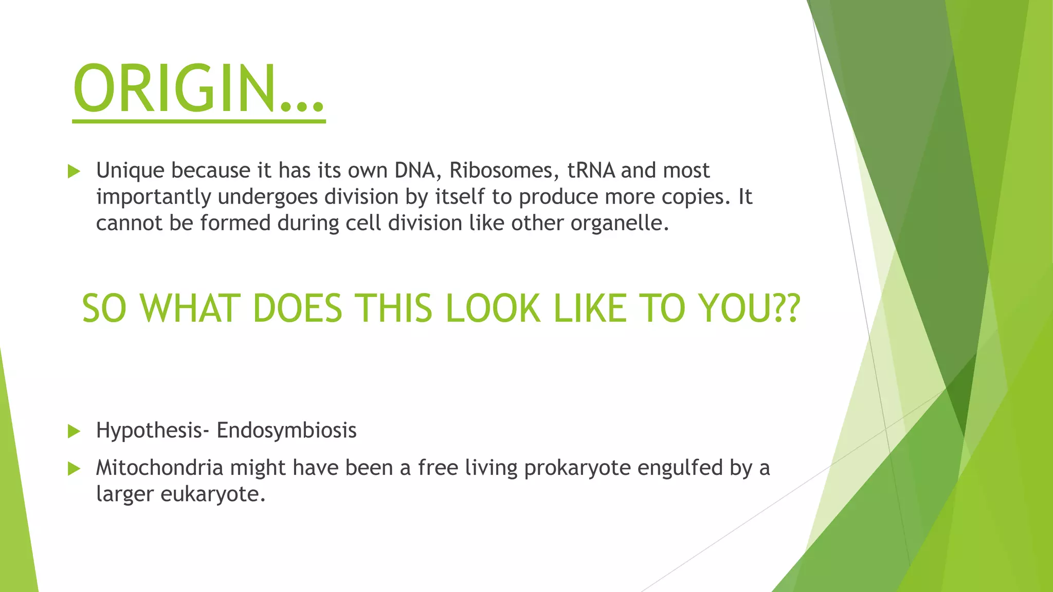 Mitochondria (introduction function & Structure) | PPTX