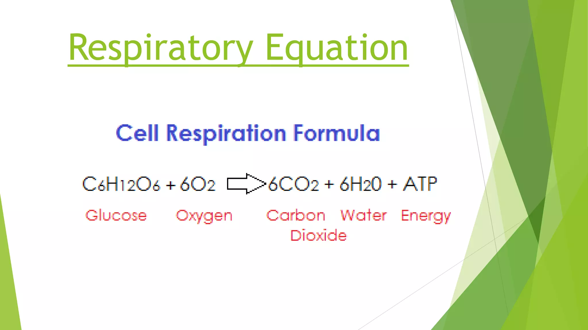 Mitochondria (introduction function & Structure) | PPTX