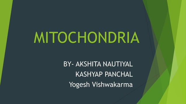 Mitochondria (introduction function & Structure) | PPTX | Biological Sciences | Science