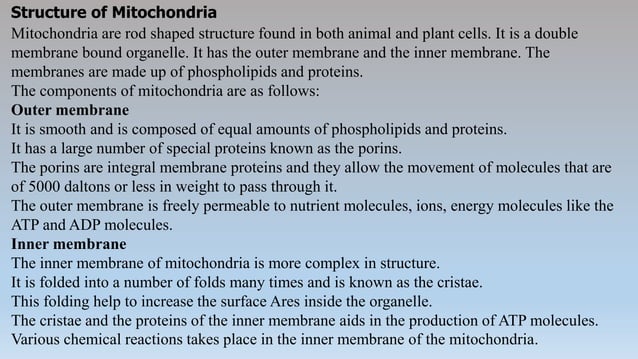 Mitochondria | PPTX | Genetics | Science