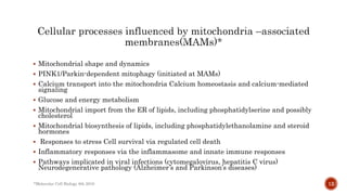 Mitochondria | PPT