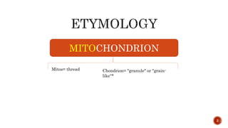 Mitochondria | PPTX