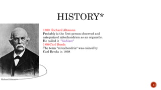 Mitochondria | PPT