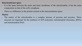 Mitochondria | PPTX
