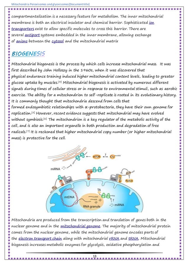 Mitochondria | PDF