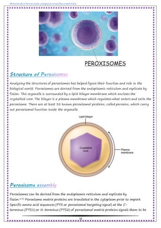 Mitochondria | DOCX