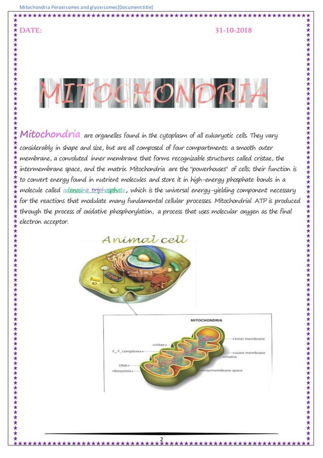 Mitochondria | PDF