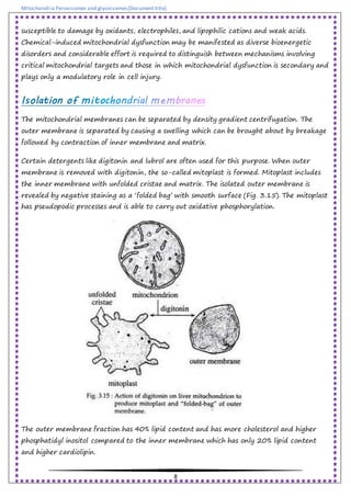 Mitochondria | DOCX