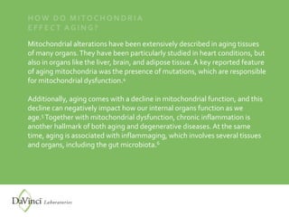 Mitochondria | PPTX