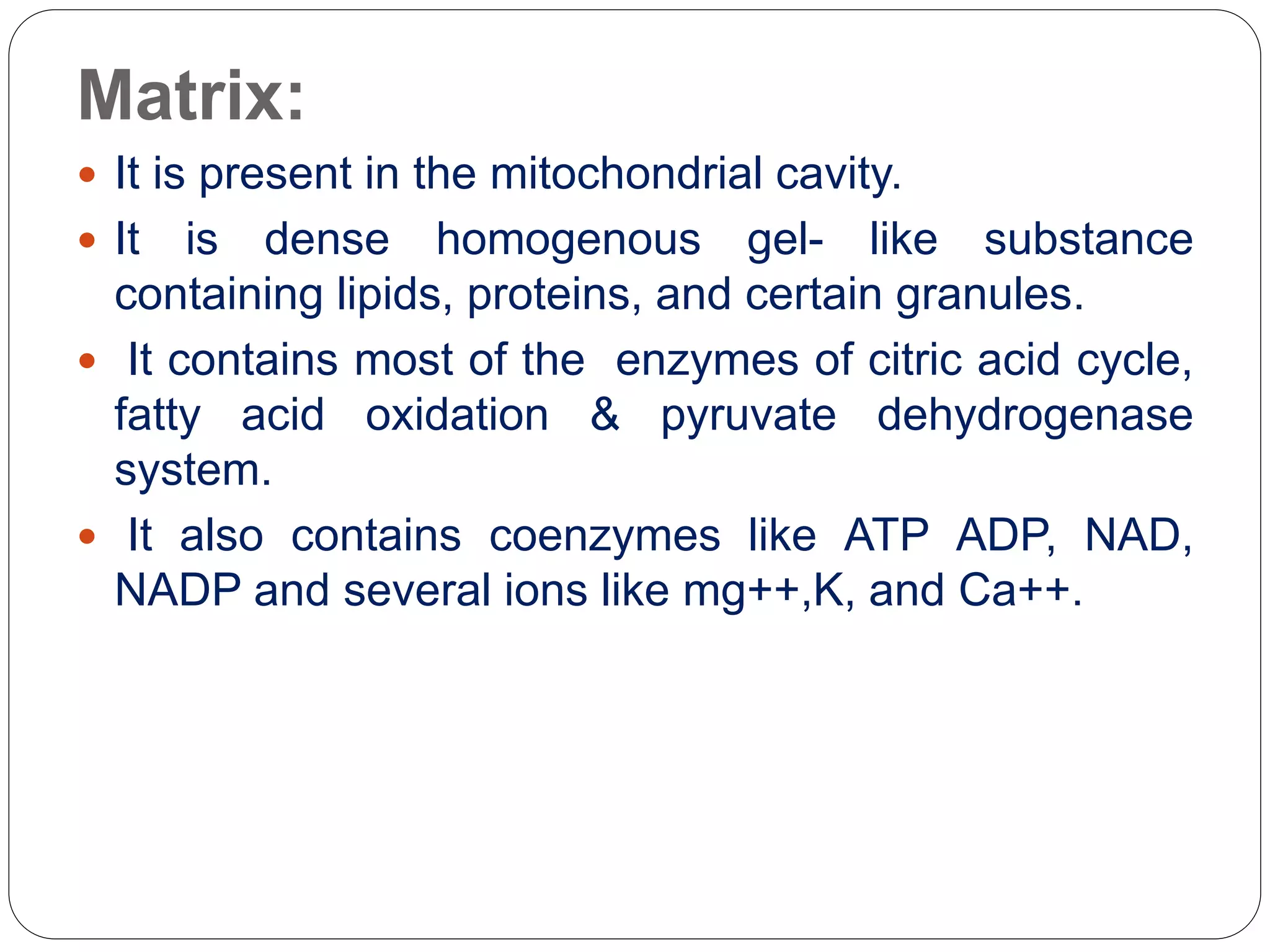 Mitochondria | PPTX