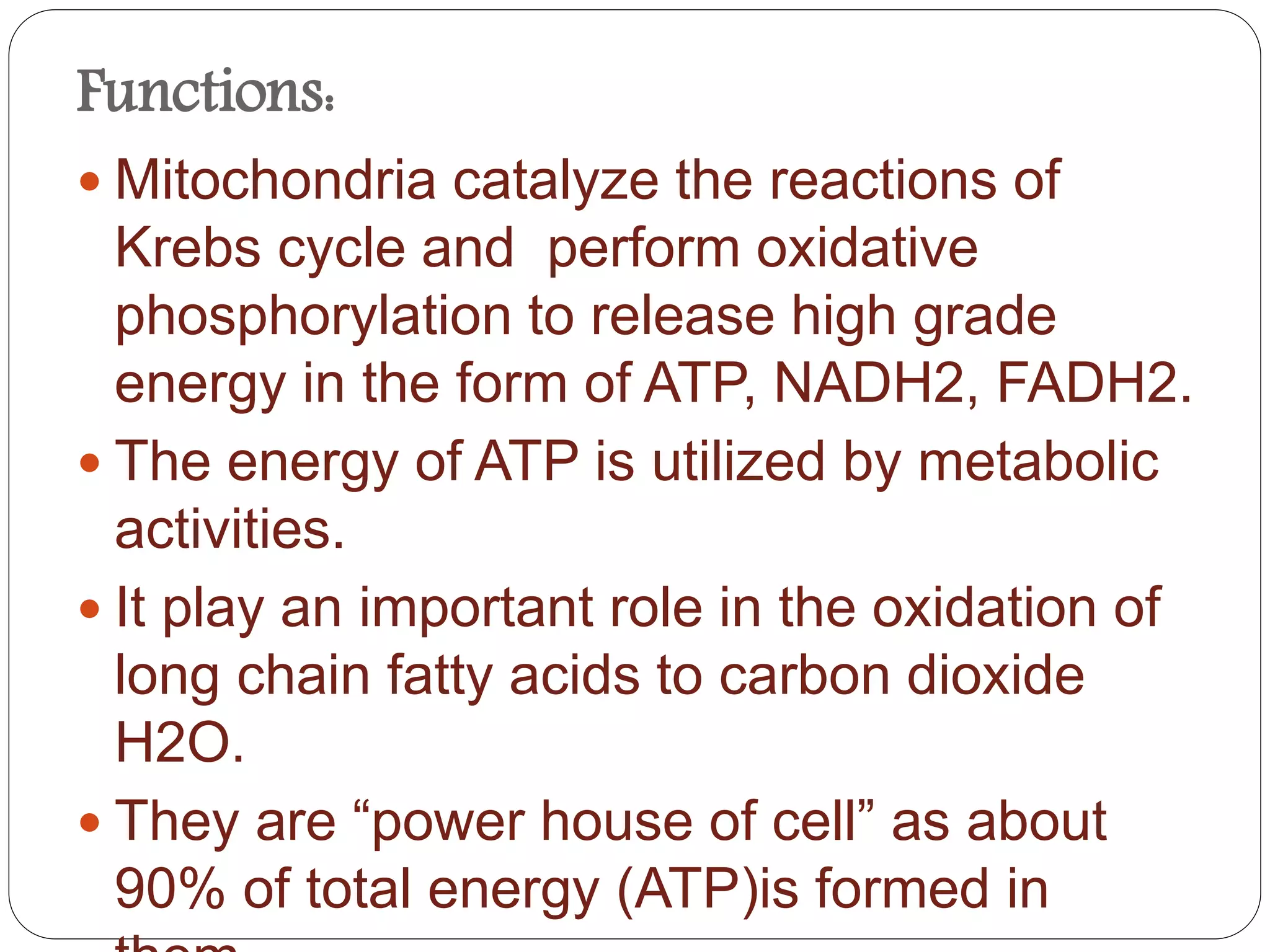 Mitochondria | PPTX | Biological Sciences | Science