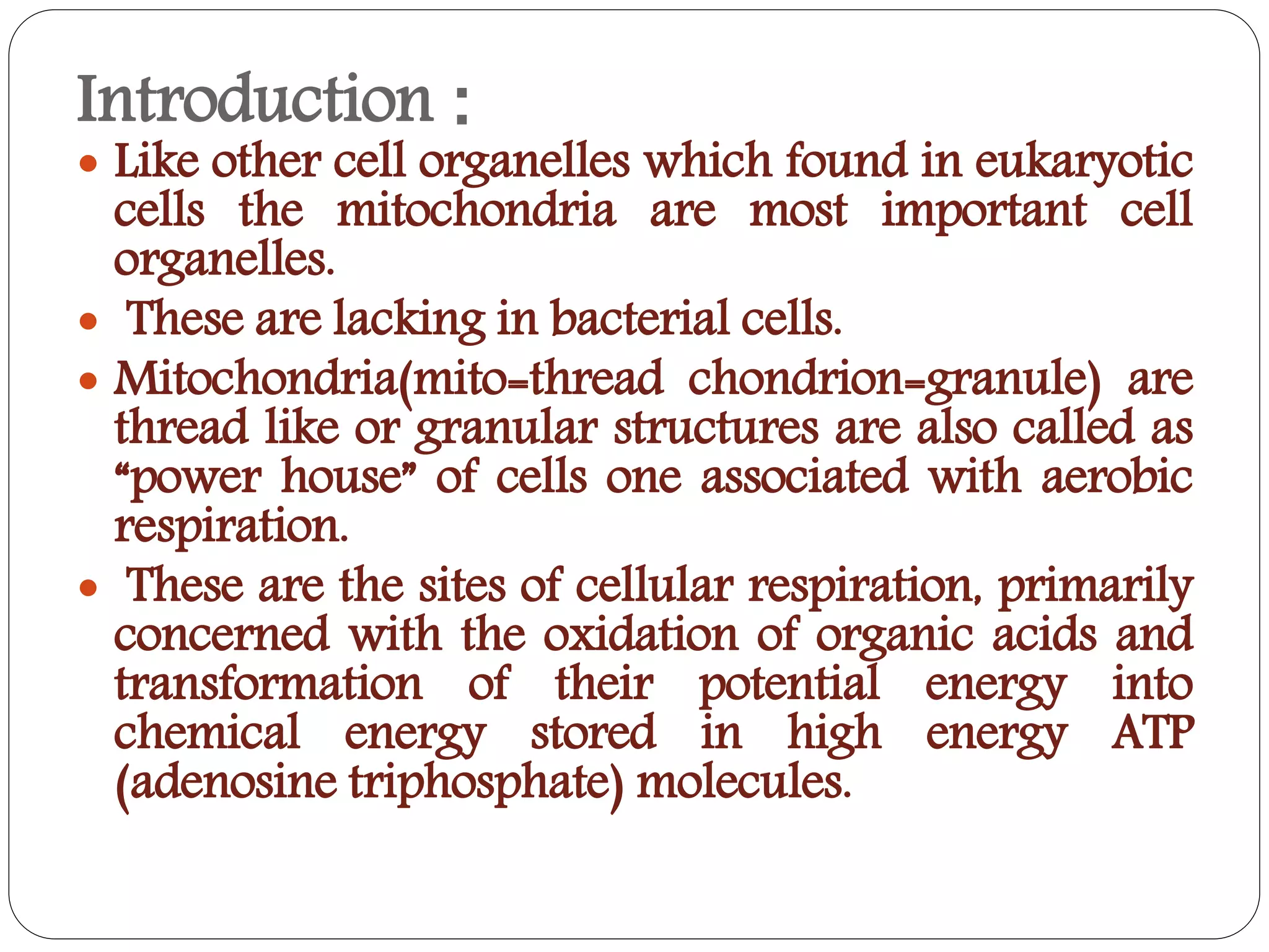 Mitochondria | PPTX | Biological Sciences | Science