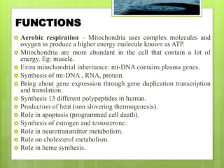 MITOCHONDRIA- THE POWER HOUSE OF THE CELL | PPTX