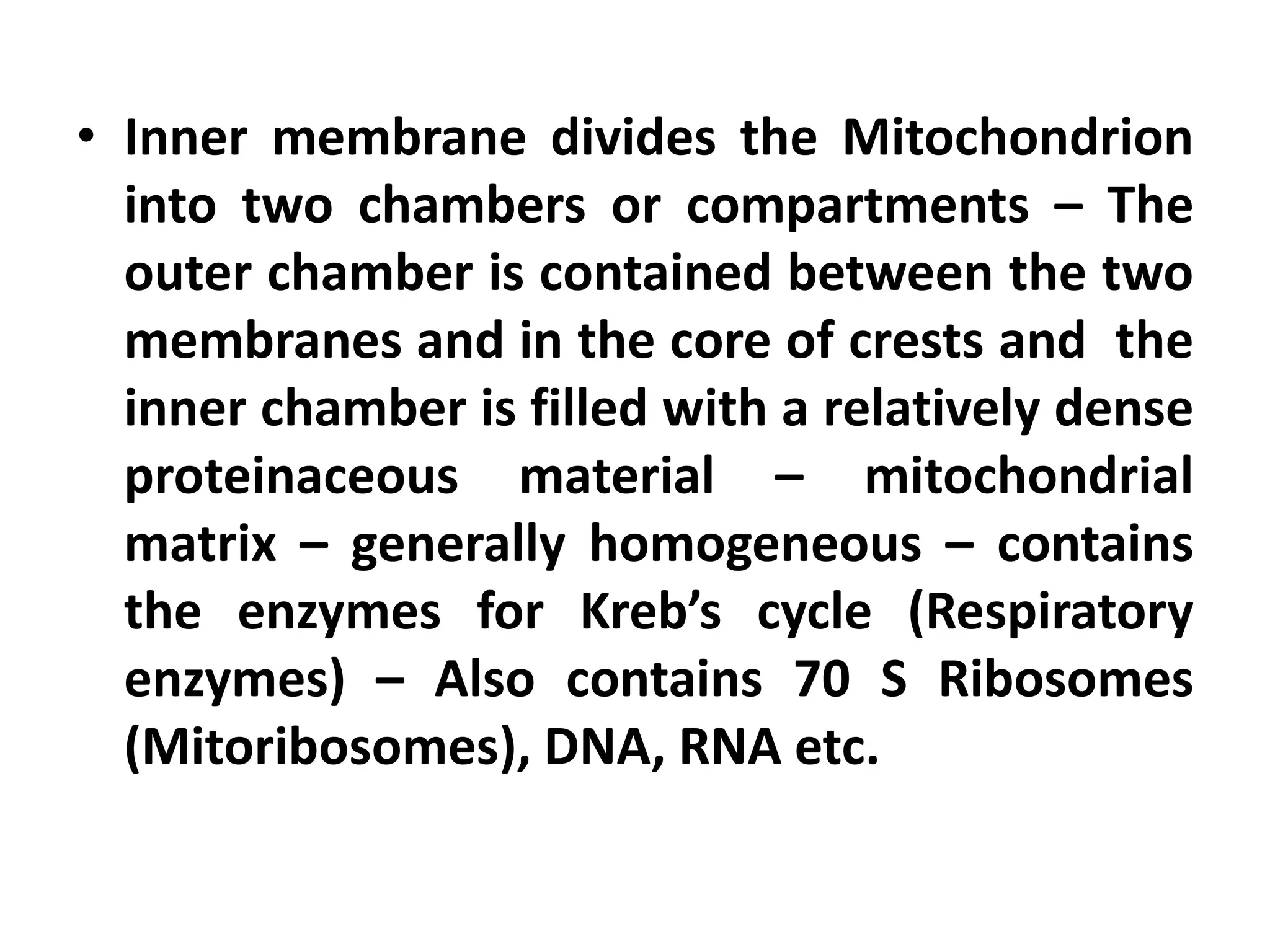 MITOCHONDRIA SMG | PPTX