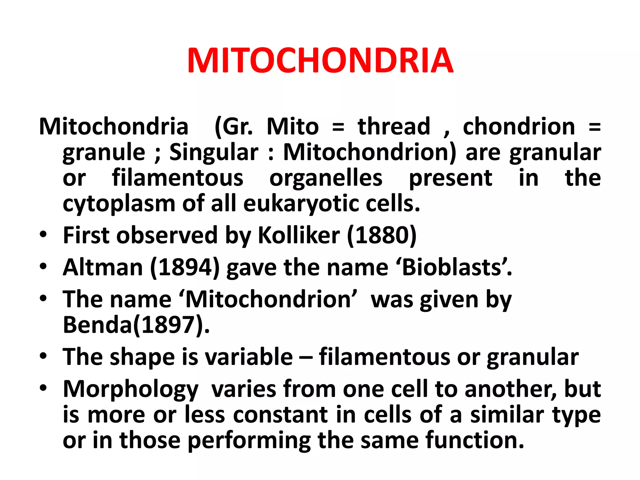 MITOCHONDRIA SMG | PPTX