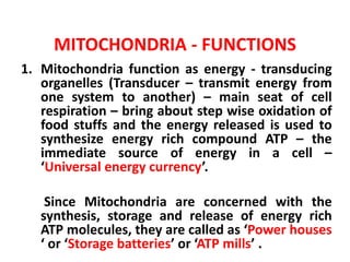 MITOCHONDRIA SMG | PPTX