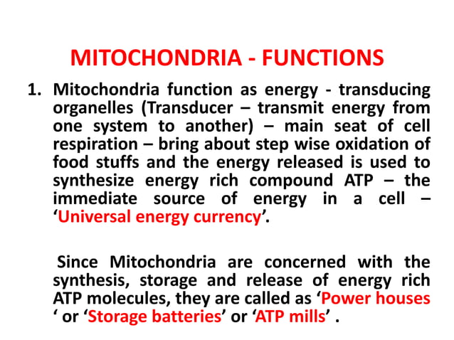 MITOCHONDRIA SMG | PPTX | Biological Sciences | Science