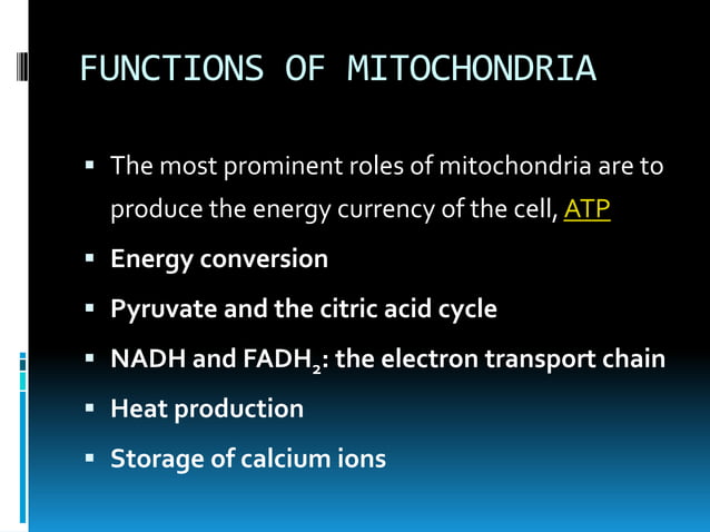 Mitochondria-the powerhouse of the cell | PPTX