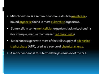 Mitochondria-the powerhouse of the cell | PPTX