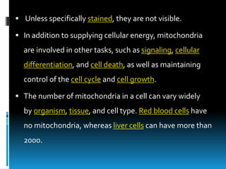 Mitochondria-the powerhouse of the cell | PPTX